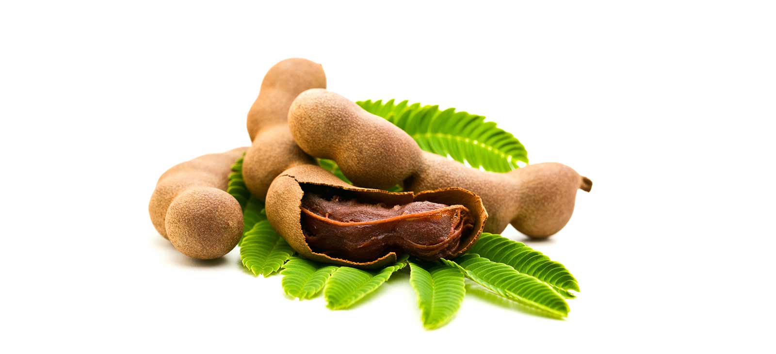 5 frutas para sacar el jugo en Costa Rica! – Tica Moderna